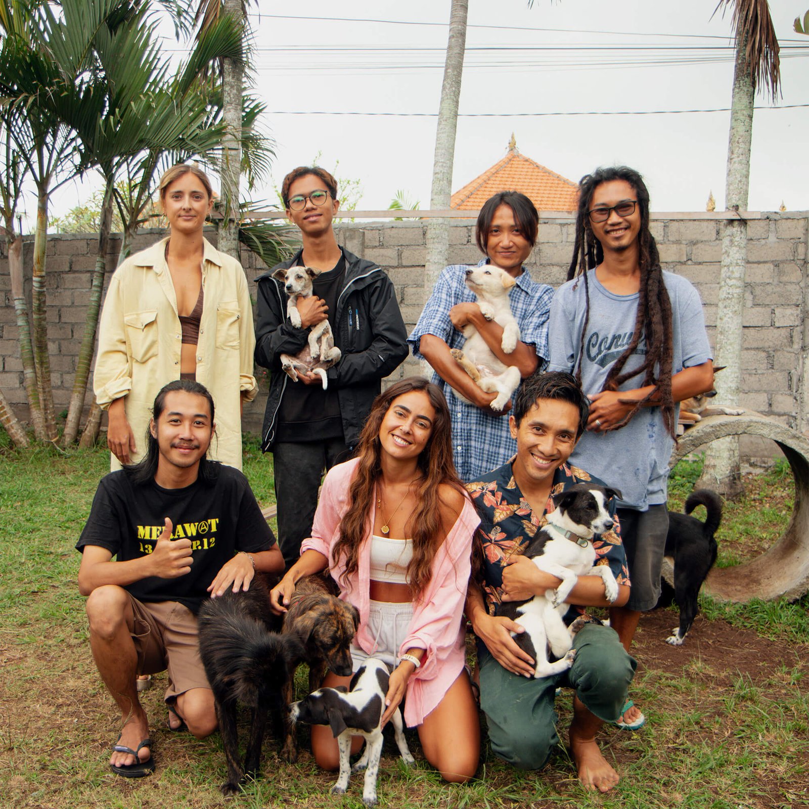 Home - Bali Paws
